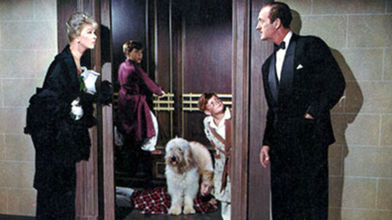 Please Don't Eat the Daisies (1960) | Qwipster | Movie Reviews Please ...